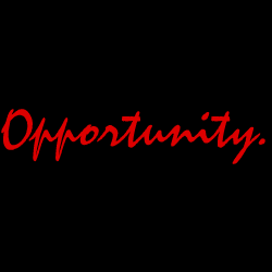 Opportunity Group: Jedes Problem ist auch eine Chance